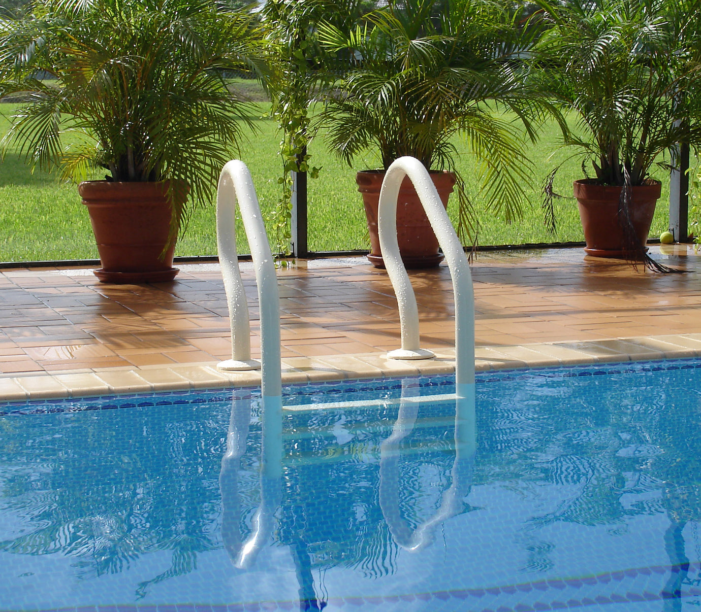 Custom Ladders – Saftron